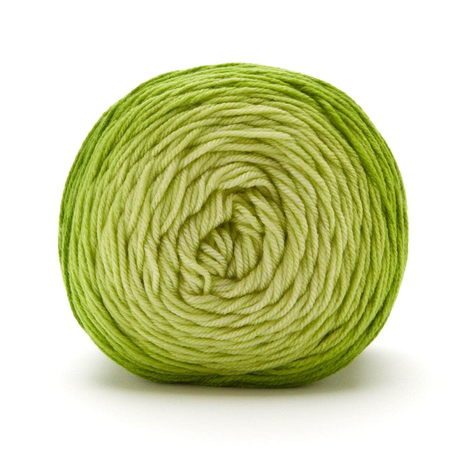 Anti-Pilling Everyday® Worsted Gradient – Premier Yarns