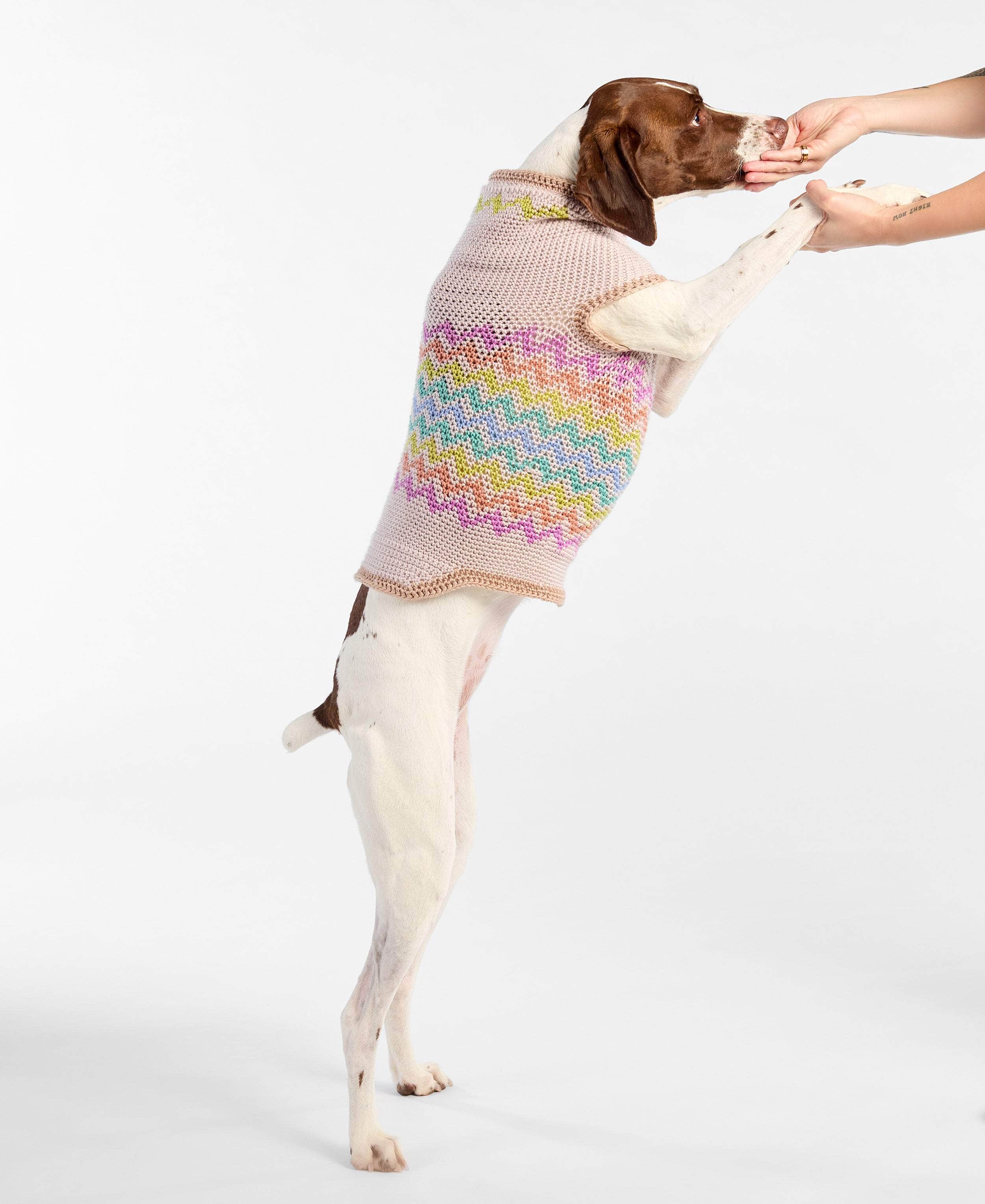 Pawliday Cheer Dog Sweater – Premier Yarns