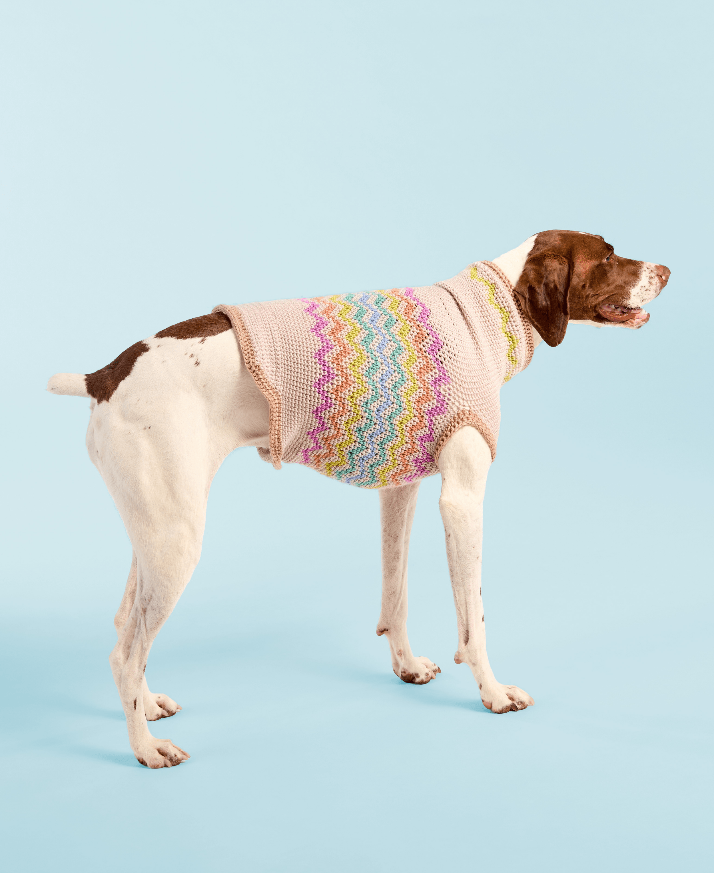 Pawliday Cheer Dog Sweater – Premier Yarns