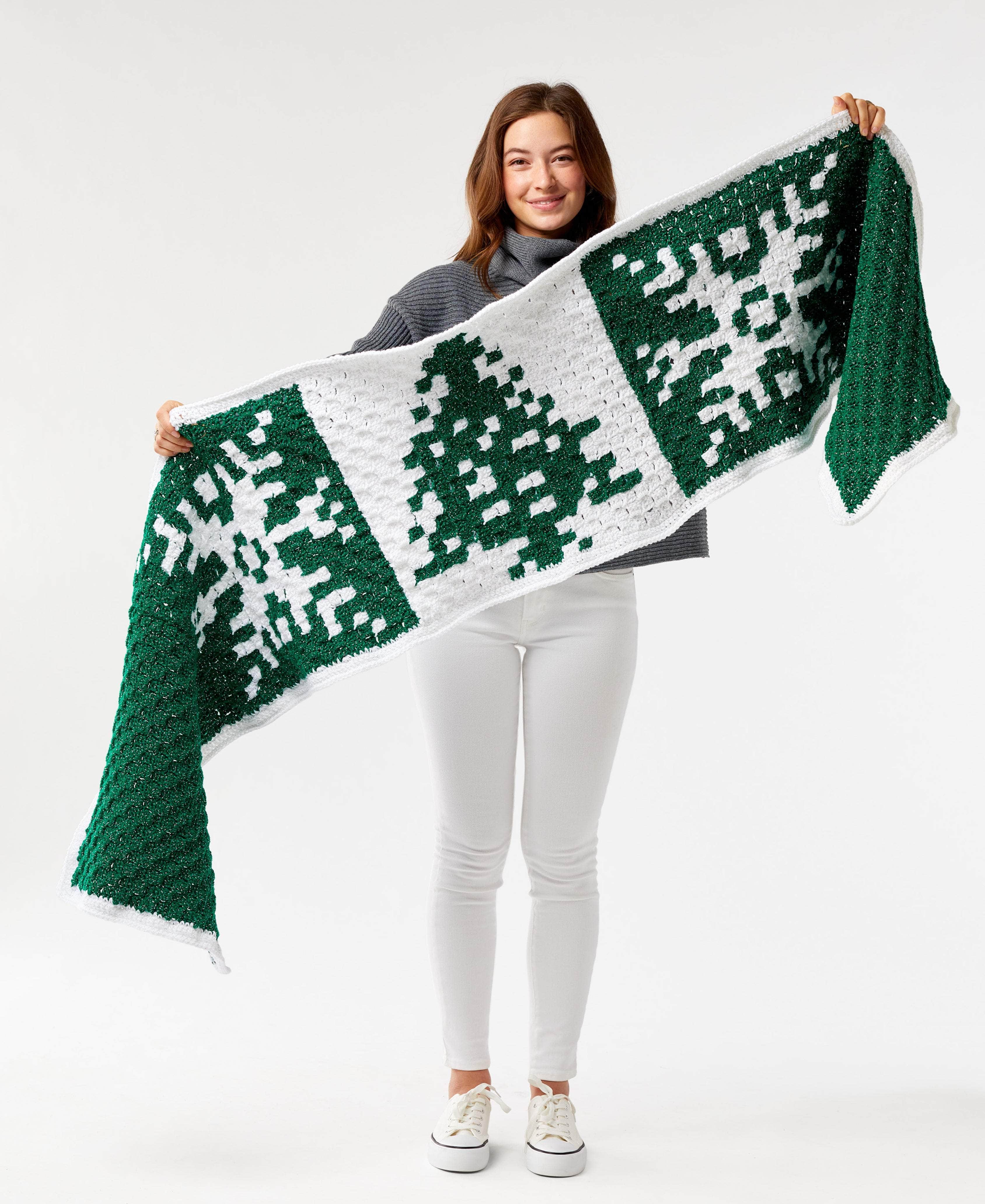 Winter Wonderland Scarf – Premier Yarns